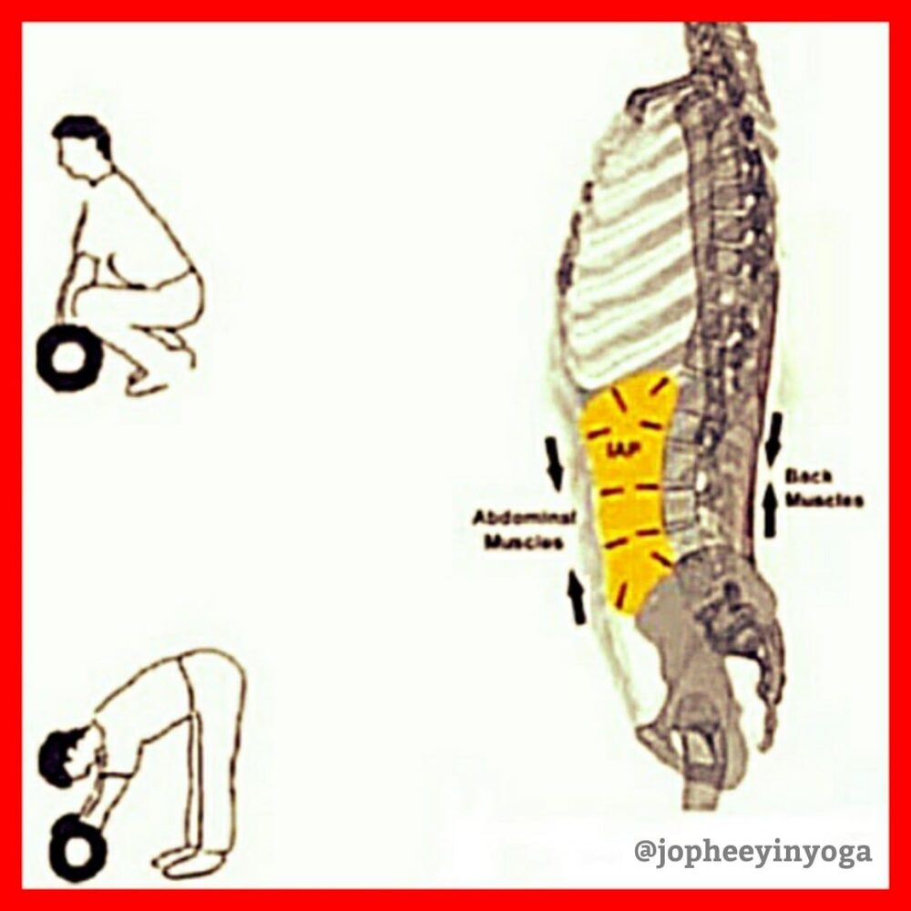 Intra Abdominal Pressure – Yinspiration