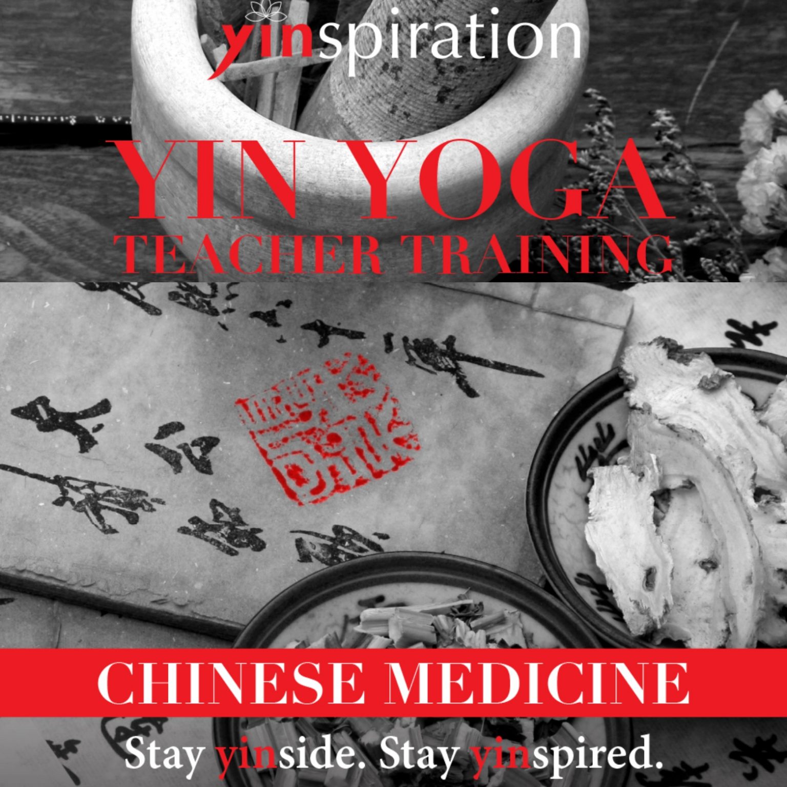 (Online) Chinese Medicine, Meridian Yin & Hip Anatomy (I) – Yinspiration