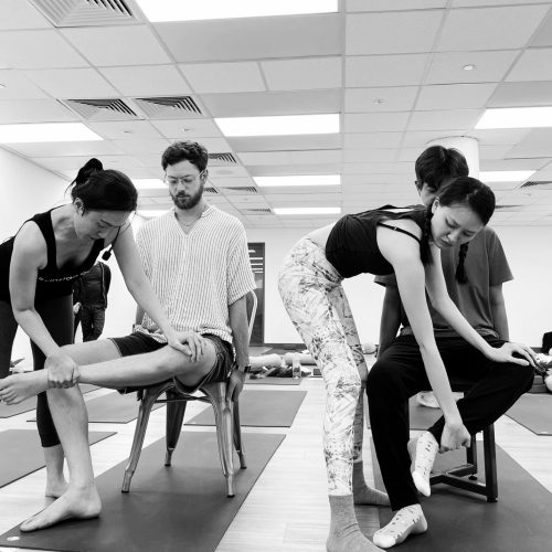 (ONLINE) Chinese Medicine, Meridian Yin & Hip Anatomy (I) – Yinspiration