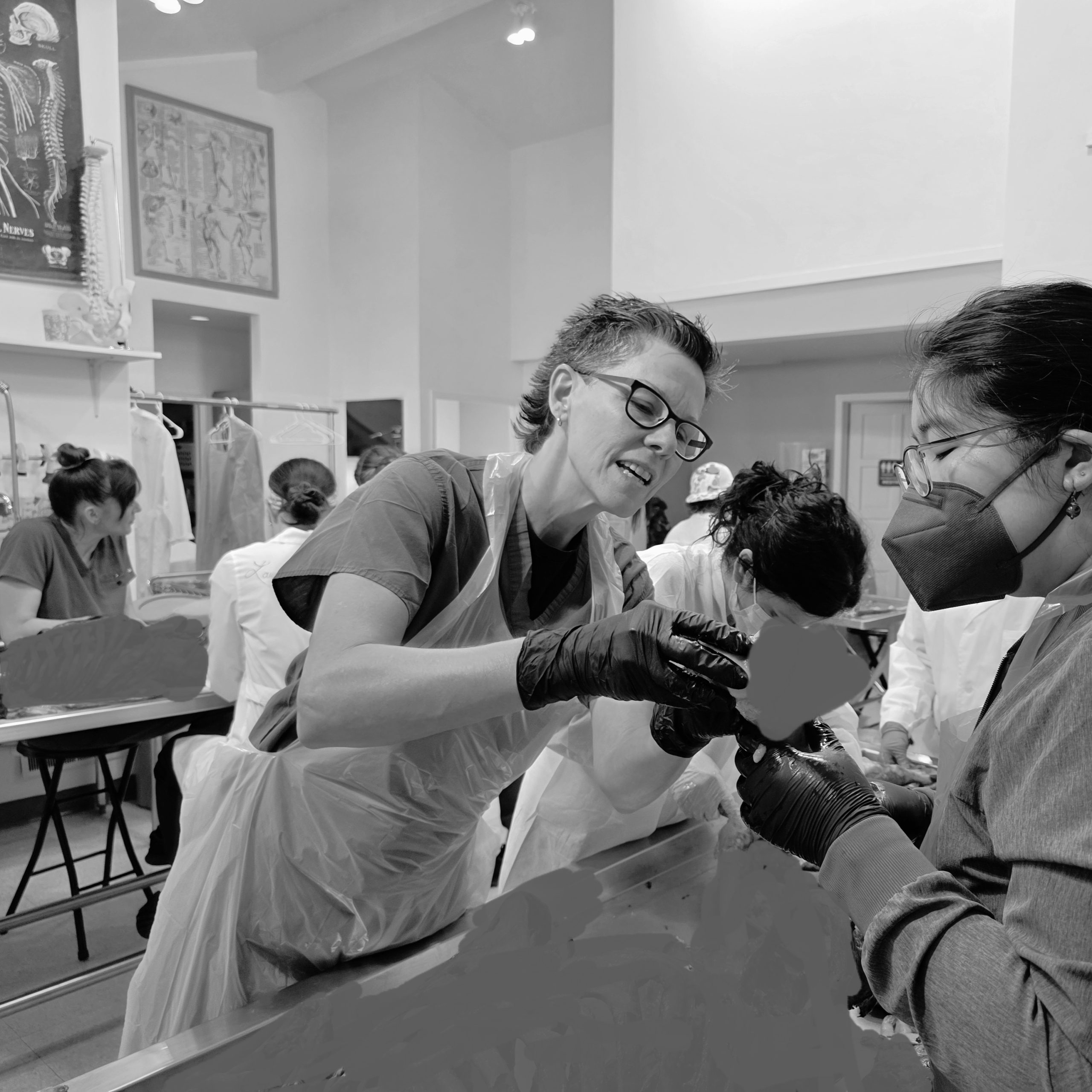Bone Morphology, Gross Anatomy & Applied Kinesiology Dissection Lab ...
